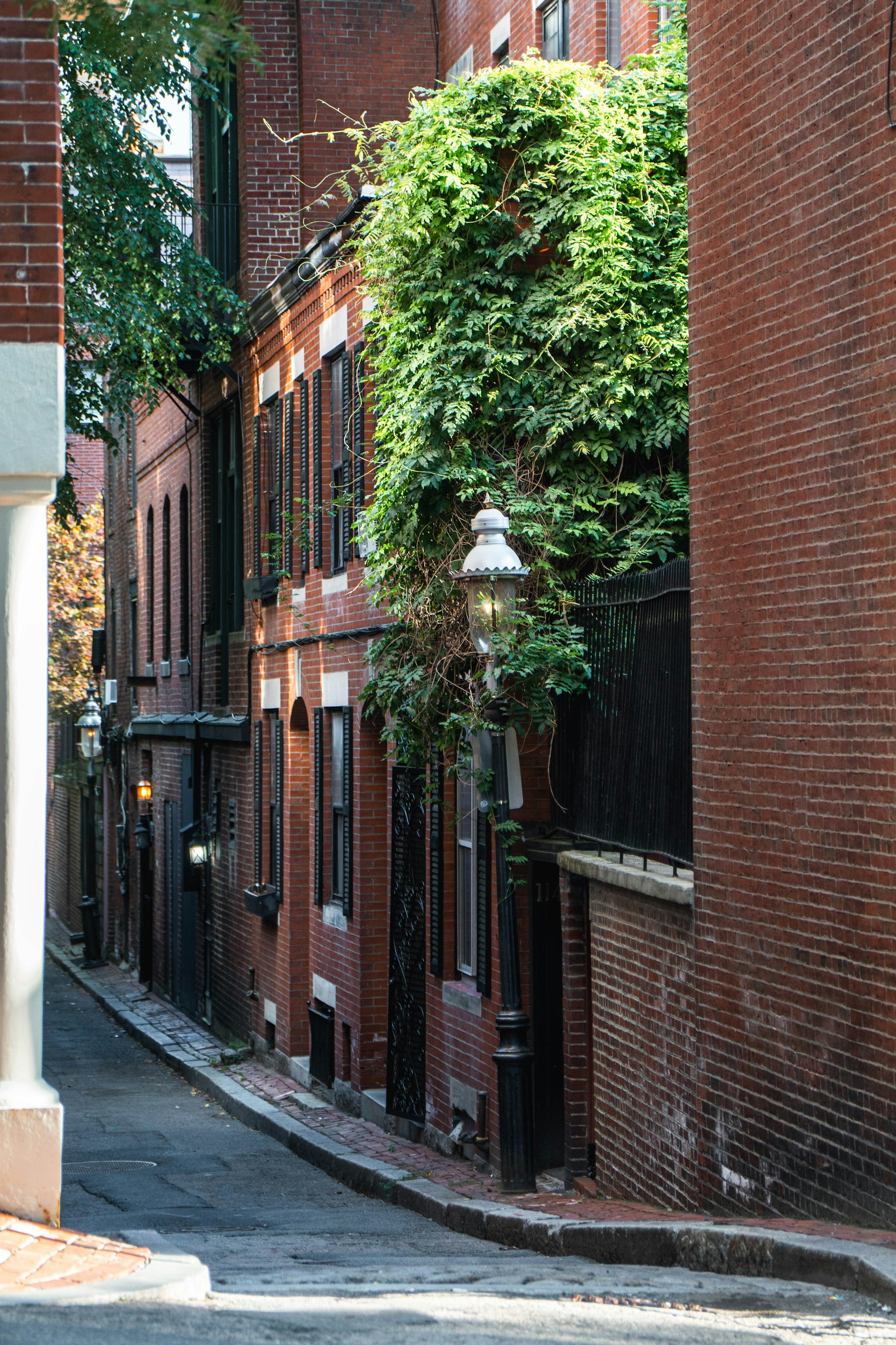 Toronto to Boston flights. Book flights today | Porter Airlines